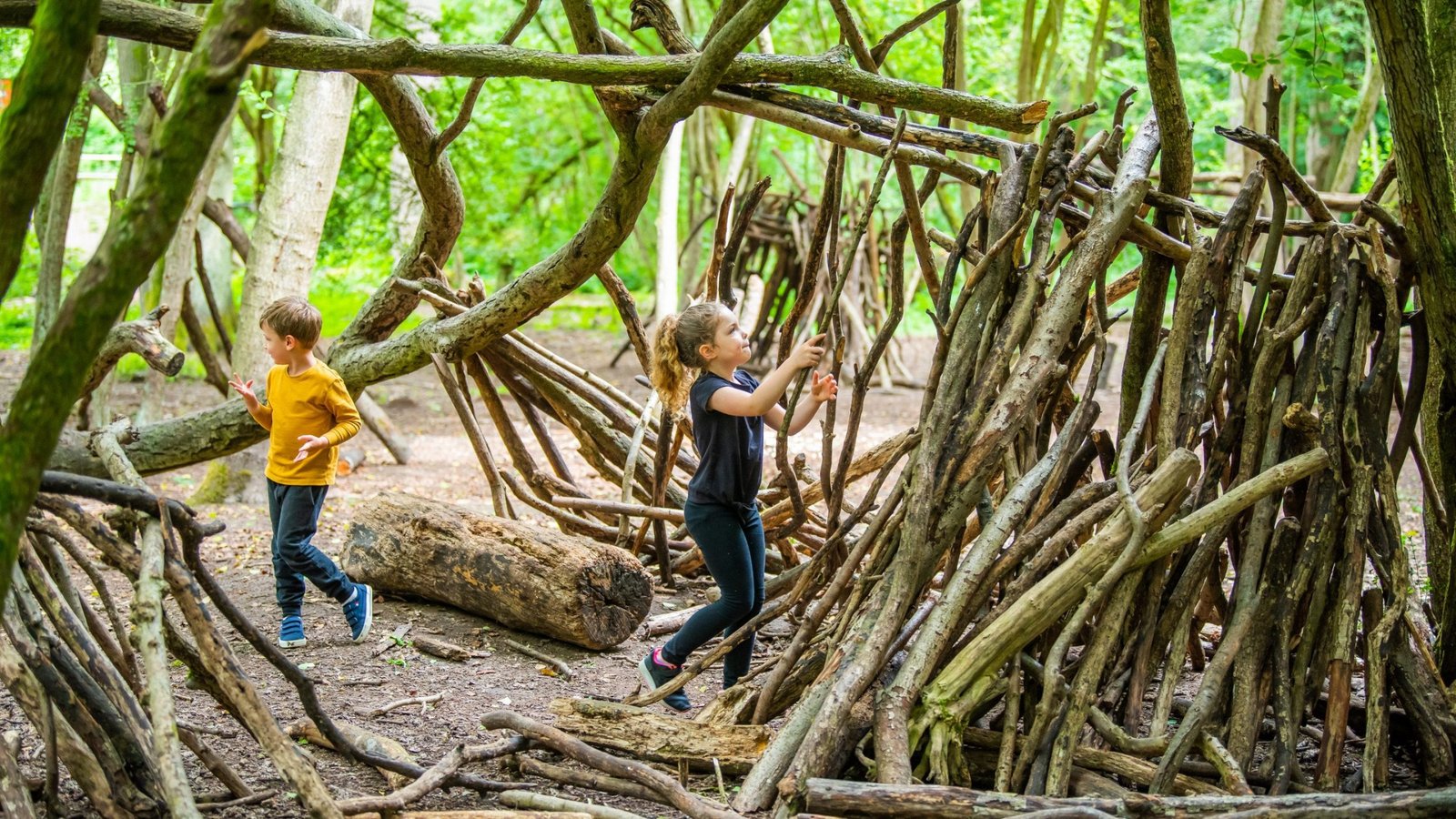 Sun Moon Events In May 2024 Sun And Moon Family Wellness Festival